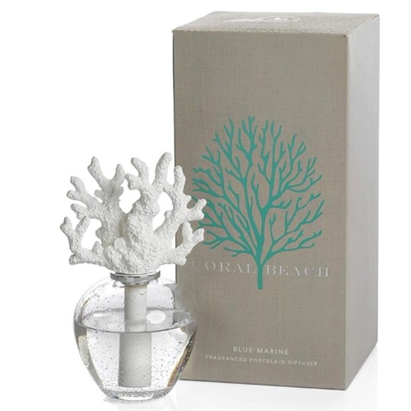 Zodax | Accents | Zodax Coral Beach Blue Marine Frangranced Porcelain ...